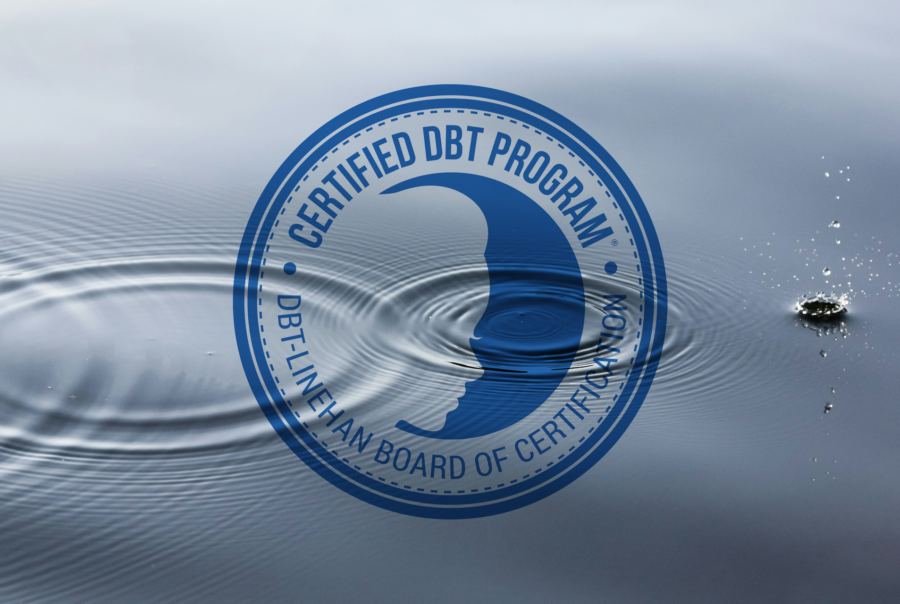 Center for DBT Services (Formerly InterAct of Michigan) - DBT-LBC